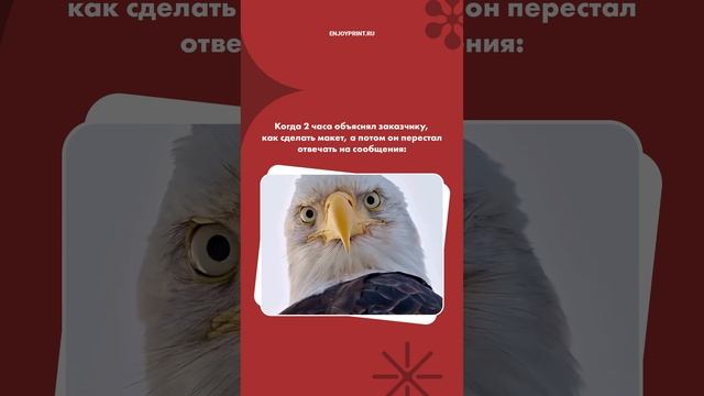 Когда клиент перестал отвечать на сообщения || Типография EnjoyPrint