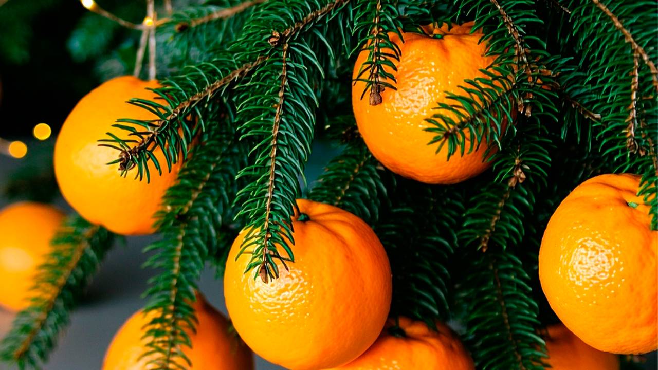 Хамелеон - Апельсины в кожуре (новогодняя)