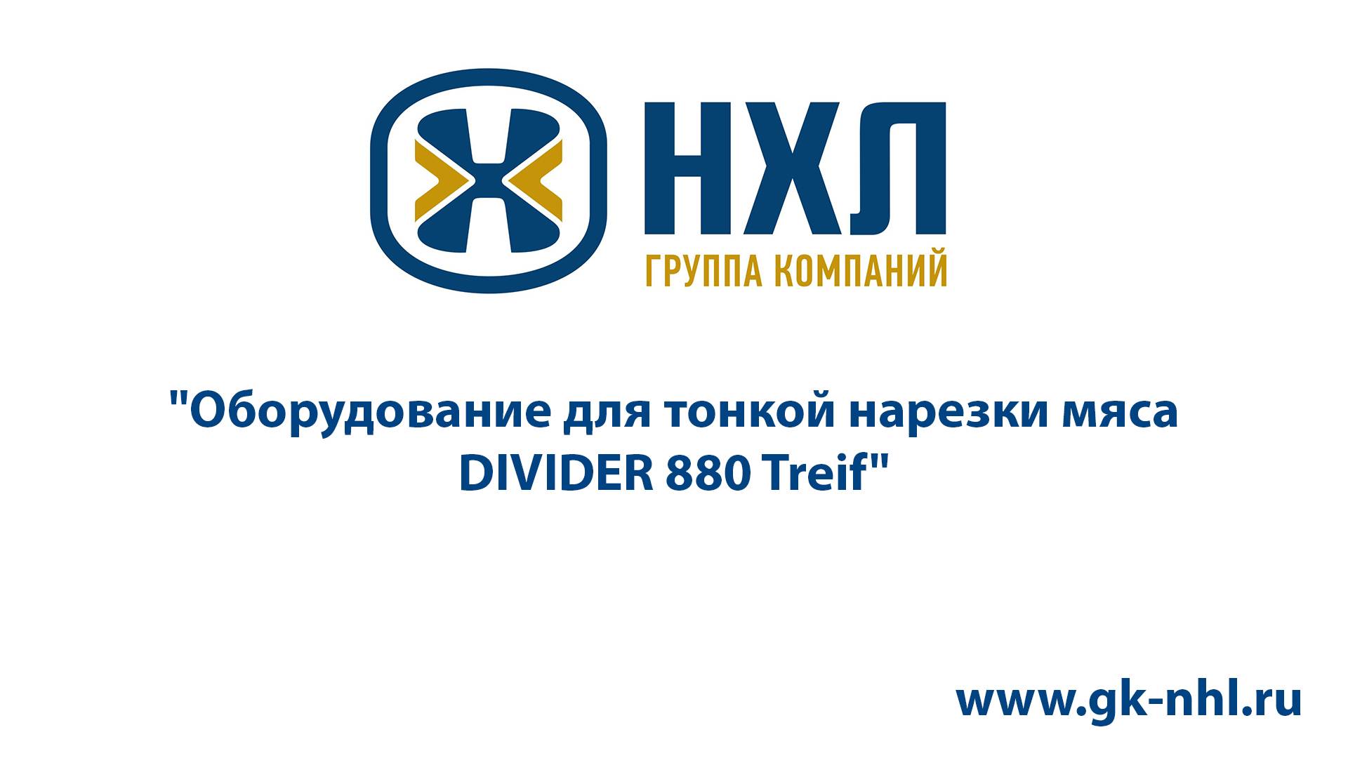 Оборудование для тонкой нарезки мяса DIVIDER 880 Treif