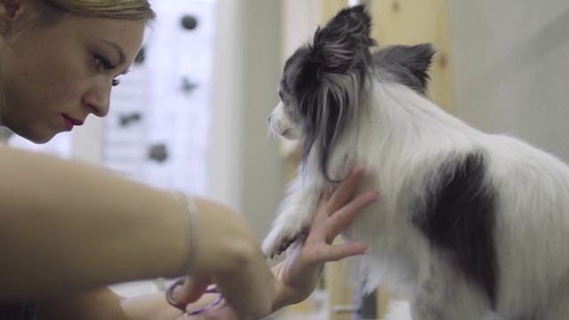 🌸 Отзывы как лучший путеводитель по зоосалонам в Грузии