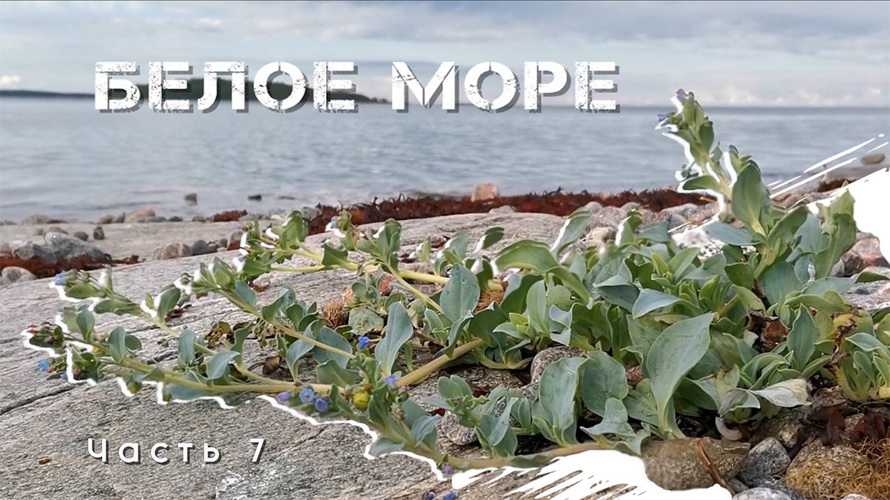Лучшие стоянки за все время путешествия - Часть 7. Белое Море на байдарке Викинг 4,7, 2022 год.