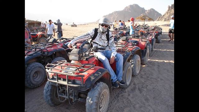 Хамелеон-Зай, познакомимся давай!!!