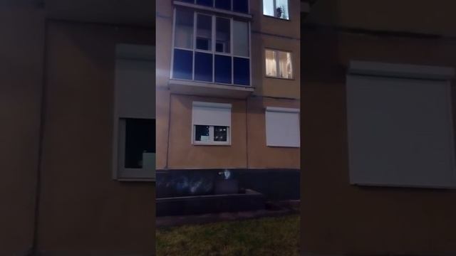 Роллета автоматическая для квартиры | Alumdevelop #рольставни