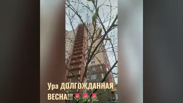 Ура!!! Долгожданная весна!!!!