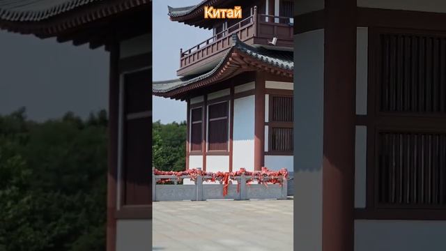 Что за боги?..#пешкомпомиру #пешкомпокитаю #китай #далянь #тревел #путешествия #трэвел