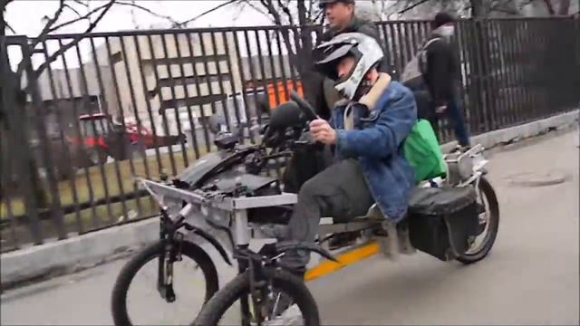 тест кота в городских джунглях