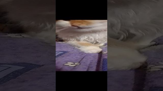 когда мне скучно 🤣