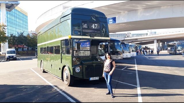 Отель Villa Toskana в Хайдельберге. Перелет во Франкфурт. Чем кормят в самолёте, мой номер