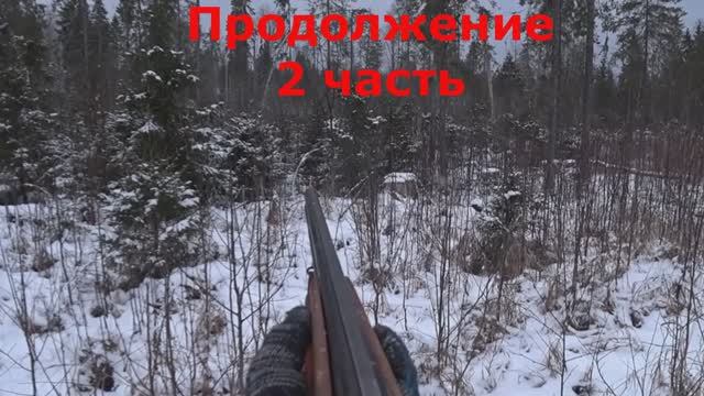 Иж-27 стрельба по ЛОСЮ на 100м.Бобика порвали.ЛЕБЕДКА нас спасла.2 часть.