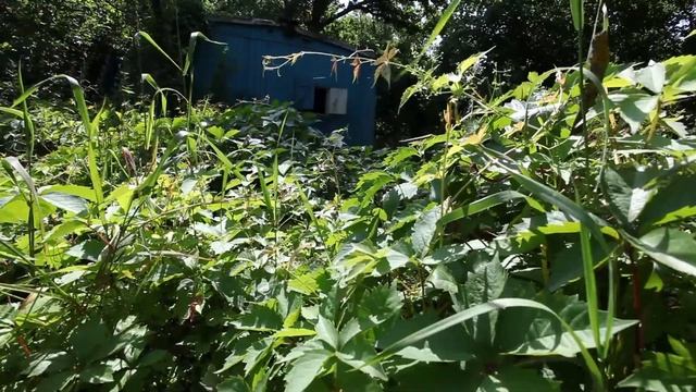 Пионерлагерь Салют | Глинище | Медведица