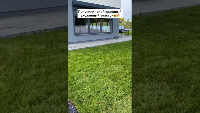 Озеленение: до/после (кейсы объектов)