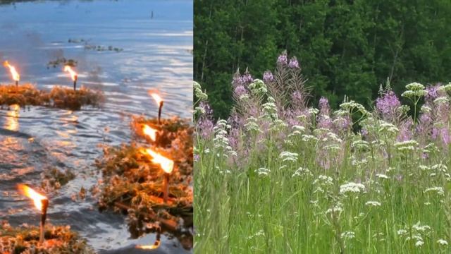 С праздником Ивана Купала