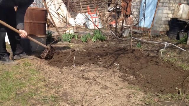 Кто хочет поработать?