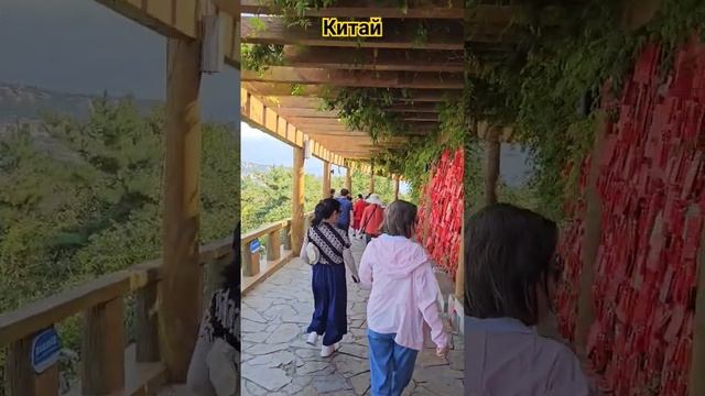 Почему все оглядываются? ##пешкомпомиру #пешкомпокитаю #китай #далянь #тревел #путешествия #трэвел