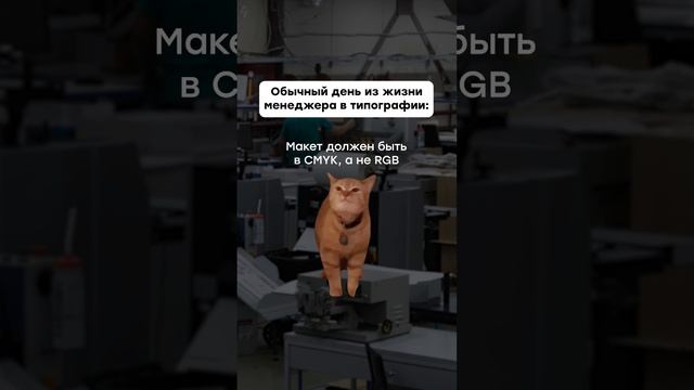 Обычный день менеджера в типографии || Типография EnjoyPrint