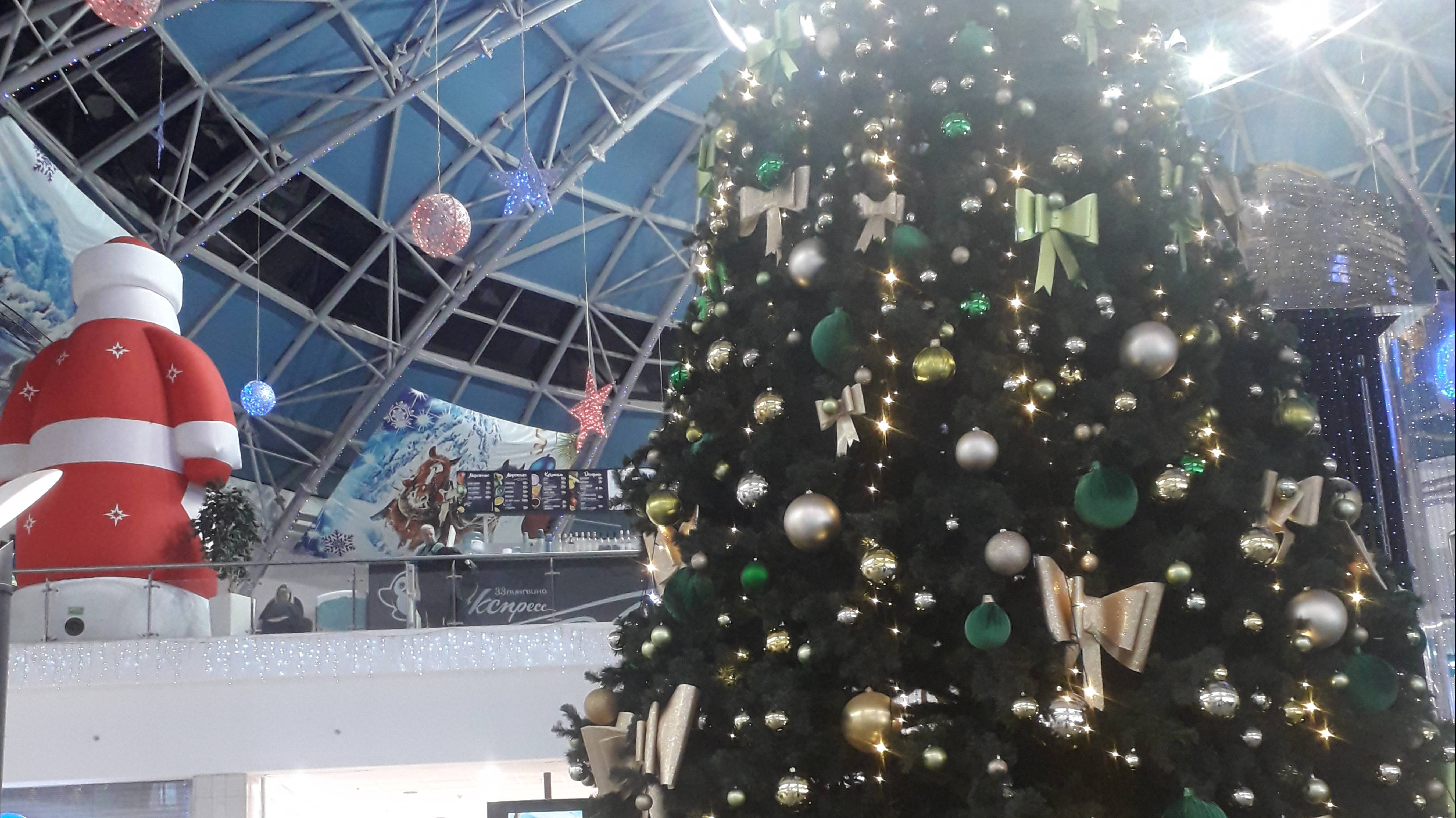 А вы поставили ёлку ?