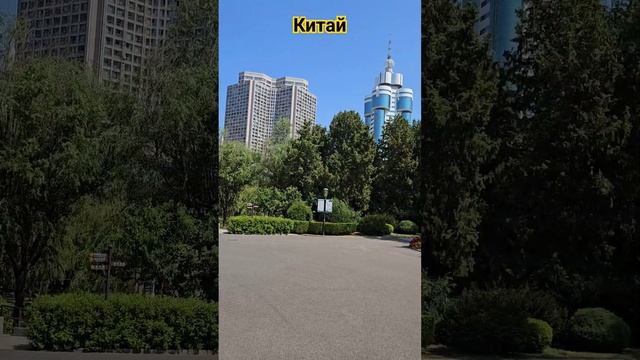 Кругом красота ##пешкомпомиру #пешкомпокитаю #китай #далянь #тревел #путешествия #трэвел