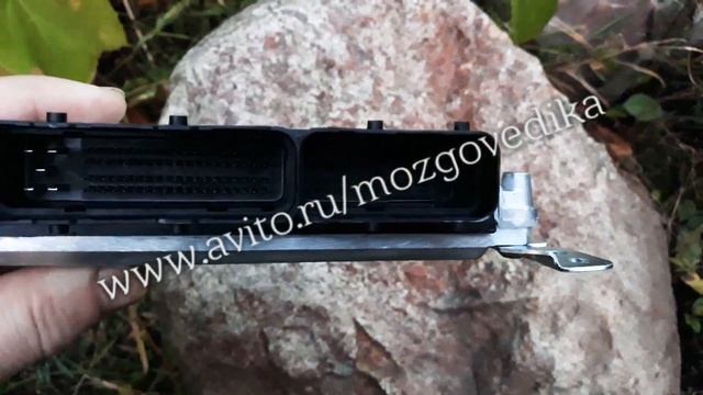 эБУ Мозги Газ Микас 10.3 4216.3763000-82. Обзор, ремонт, продажа и прошивка ЭБУ (мозги) на Газ.