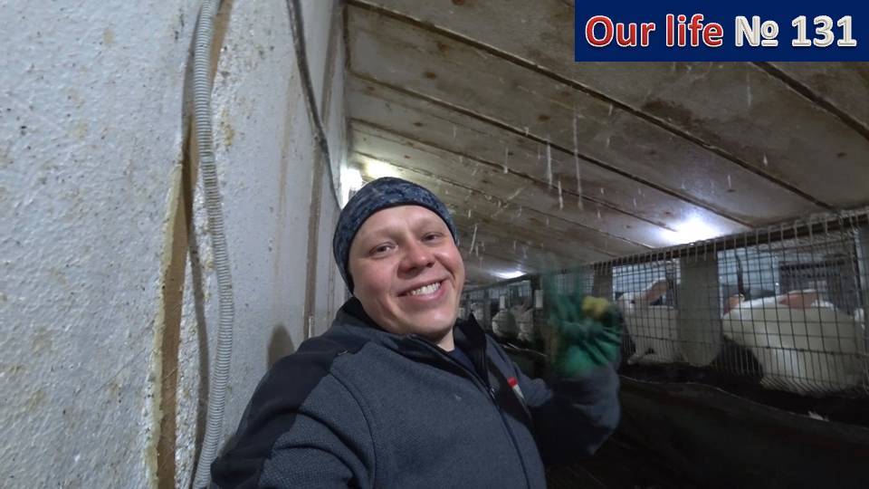 Кролики это не только ценный мех но и .......