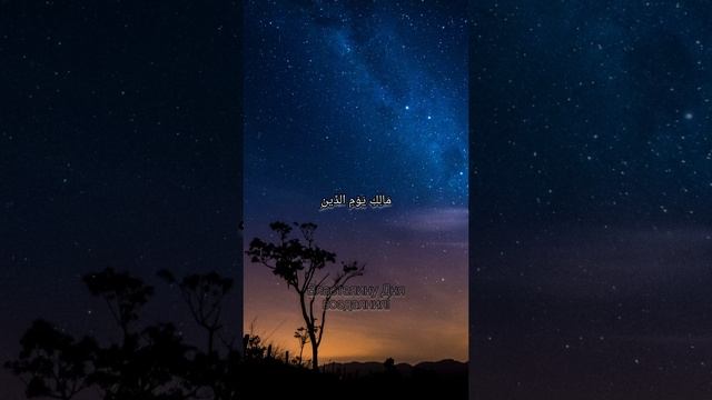 Аль-Фатиха. Мишари Рашид. Красивое чтение Корана.