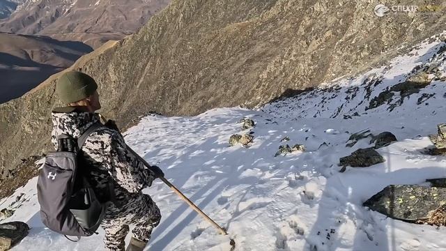 ЭКСТРИМ ОХОТА ч.2 : Покорение Гор Осетии за Дагестанским Туром! #охота #прицел #трофей #охотавгорах