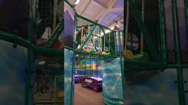 Джунгли Сити 🏙️