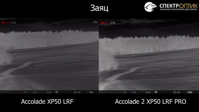 Что купить Pulsar Accolade LRF XP50 или Pulsar Accolade 2 LRF XP50 Pro? Ночной тест, мнение эксперта