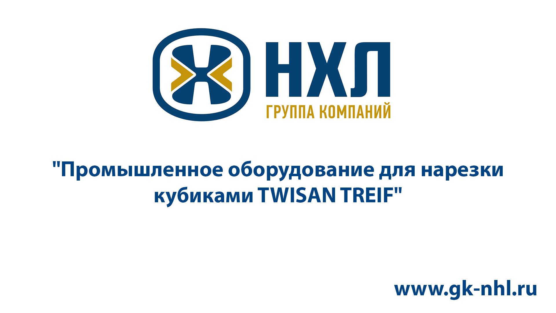 Промышленное оборудование для нарезки кубиками TWISAN TREIF