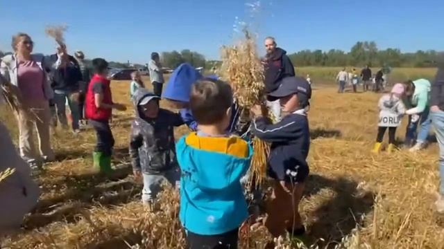Экскурсия. Сбор урожая 29.08.22