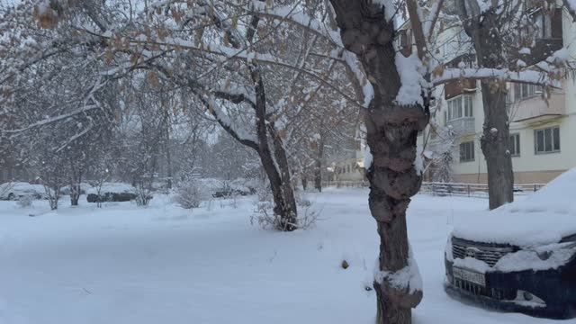 Из Иркутска в Нячанг. Maris Hotel (Отель Марис)
Вьетнам. Декабрь 2024