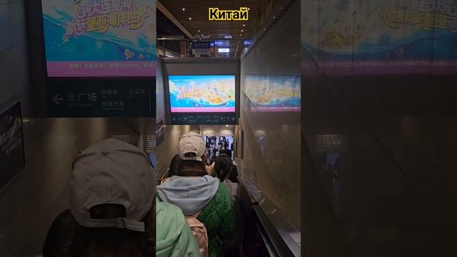 7 часов и мы в Даляне #пешкомпомиру #пешкомпокитаю #китай #далянь #тревел #путешествия