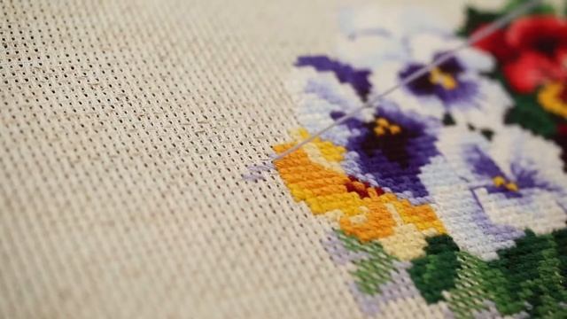 Риолис, Пестрые анютки