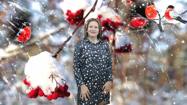 Виктория Полинская - Снегири (cover) (музыка — Игорь Матвиенко, стихи — Константин Арсенев)