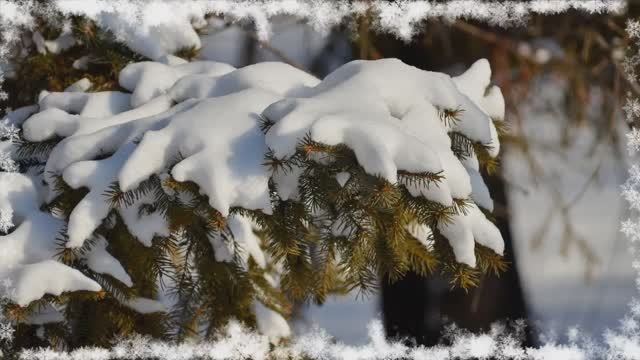 Настоящий снег