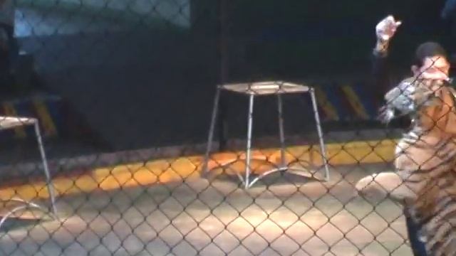 Дискавери парк. Паттайя.Таиланд.