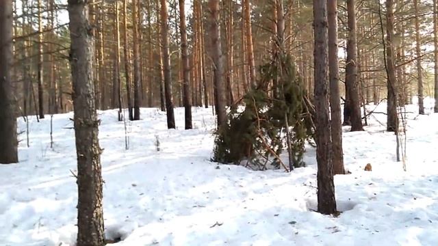 Родовое поселение Жива - ожидание весны