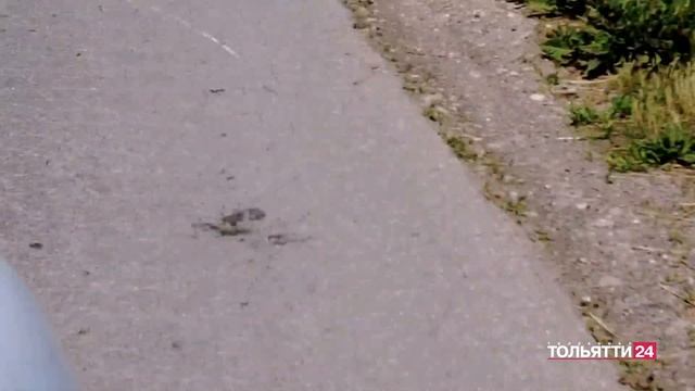 "Реальный вопрос" Дорога по Фермерской улице – это реально? 04.07.2024