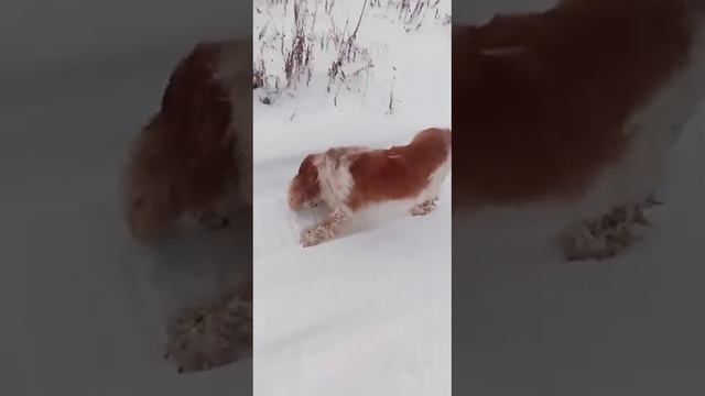 24.12.241524 Прогулка на природе