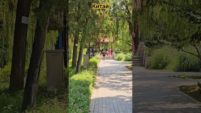 Парк труда #пешкомпомиру #пешкомпокитаю #китай #далянь #тревел #путешествия