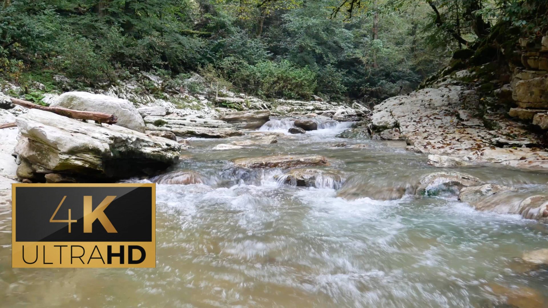 Горная река в каньоне за лесом. Успокаивающие звуки бурной реки. / Canyon River. 1 час. 4K.