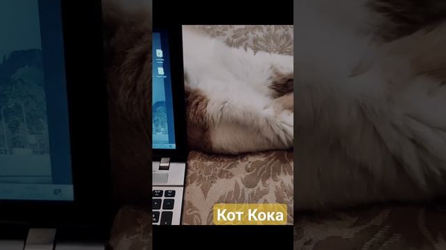 15 октября 2023 г.