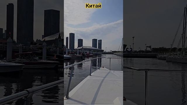 Красота...#пешкомпомиру #пешкомпокитаю #китай #далянь #тревел #путешествия #трэвел