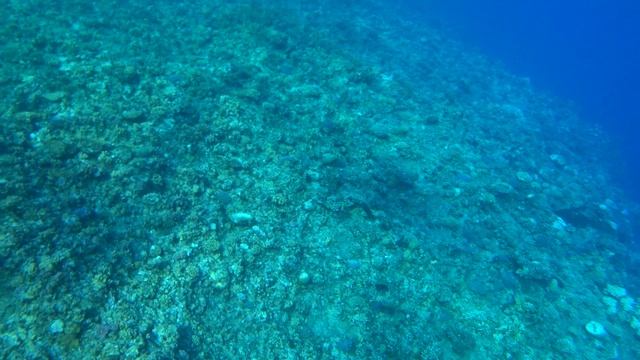 Риф  в ONATTI Beach Resort Marsa Alam ex Otium Senses Onatti. Онатти бич резорт. Онати КогДА ЖаРА