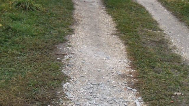 Спасательная операция Грядки из шифера