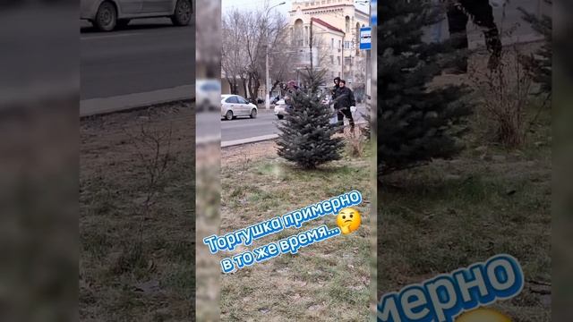 Зима в городе).mp4