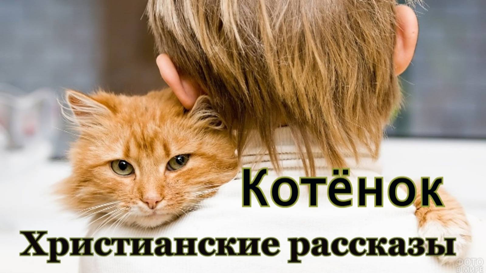 "Котёнок." - Христианский рассказ.