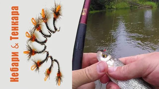 Ловля рыбы методом Тенкара на мушку Кебари.