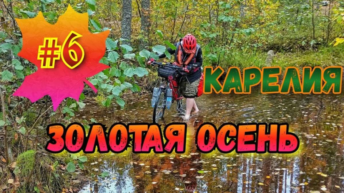 #6. Велопоход. Карелия. Золотая осень 🍁 🚴_♀️🏕️🍂 4.10.24