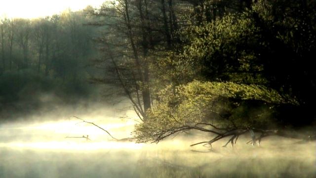 Река Можа Утренние туманы