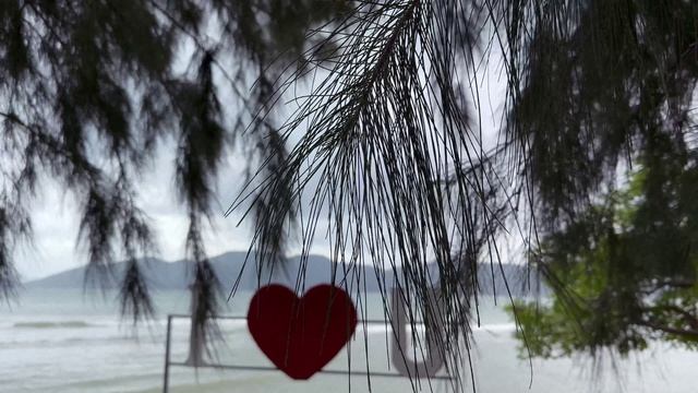 Вьетнам. Нячанг. Остров обезьян